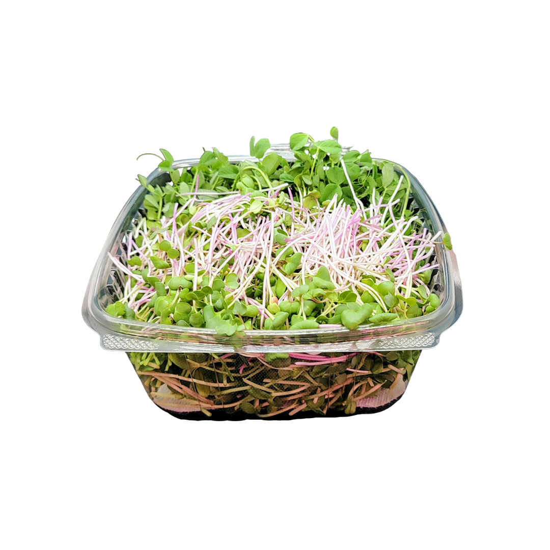 Crunchy Microgreens Mix Weekly | Itty Bitty Micro Farm