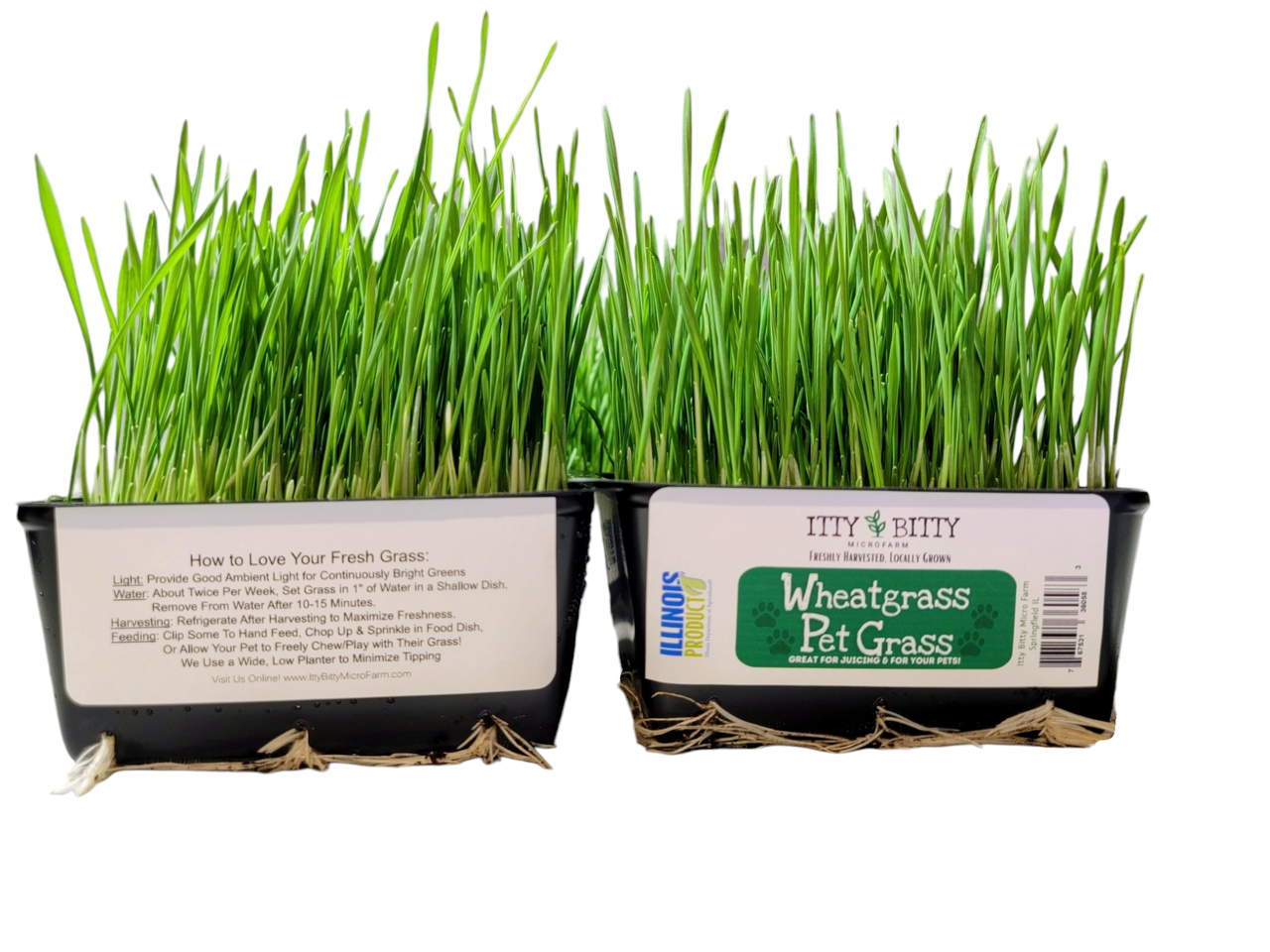 Microgreens, Lettuce, Edible Flowers | Itty Bitty Micro Farm