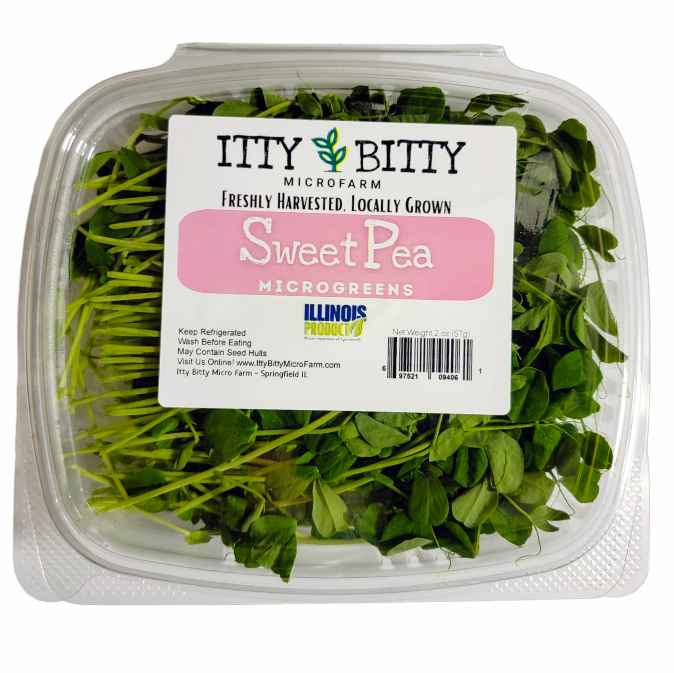Sweet Pea Shoot Microgreens | Itty Bitty Micro Farm